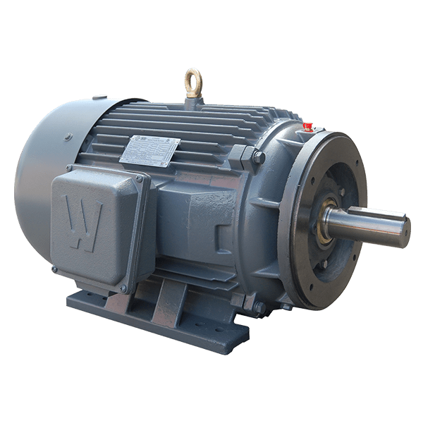 ESM 220V 50-60Hz Motor for Industrial Automation | Ram Automations